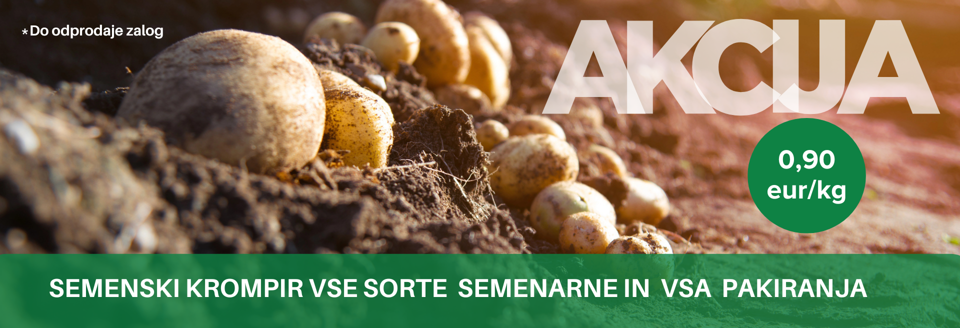 Semenski krompir 2025 | Spletna prodaja Kalia