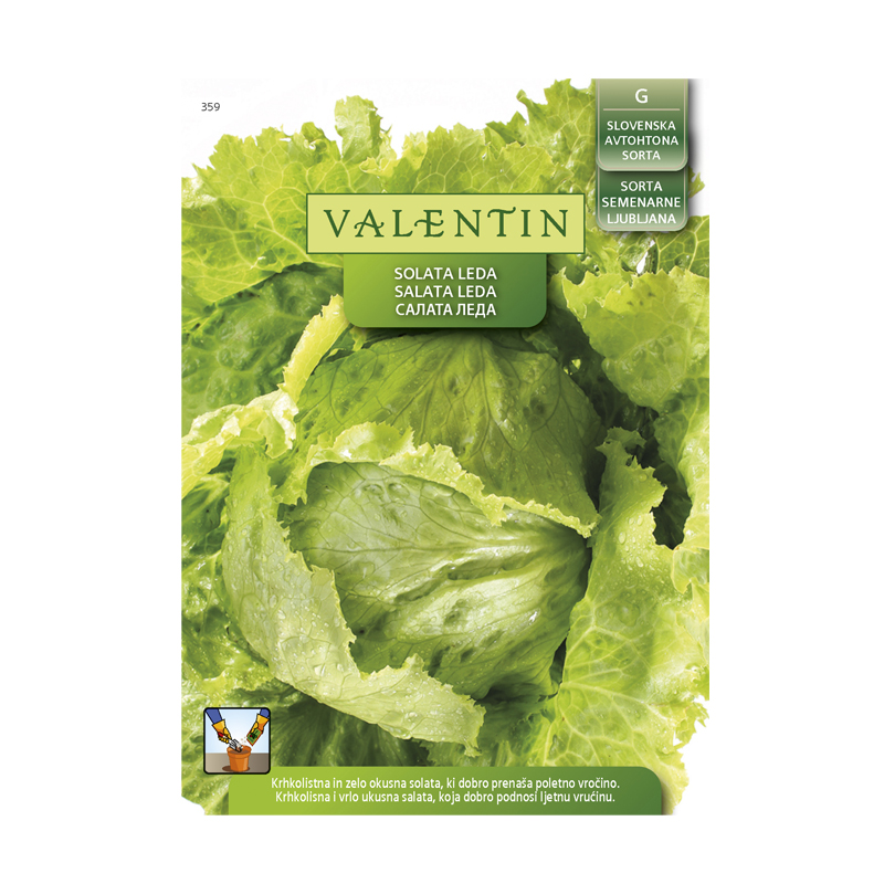 VALENTIN 359 SOLATA LEDA | Spletna prodaja Kalia